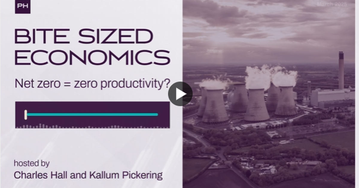 Bite Sized Economics Podcast #2: Net zero = zero productivity ...